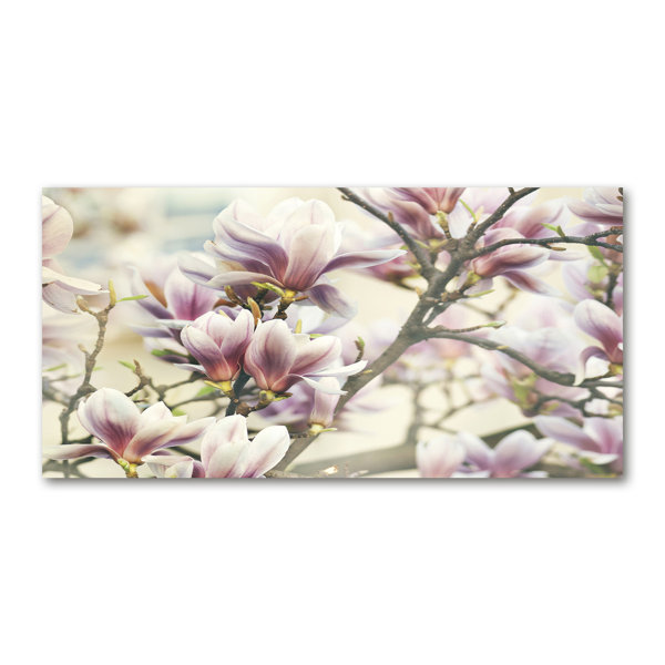 Rosalind Wheeler Magnolia - Kunstdrucke auf Leinwand | Wayfair.de